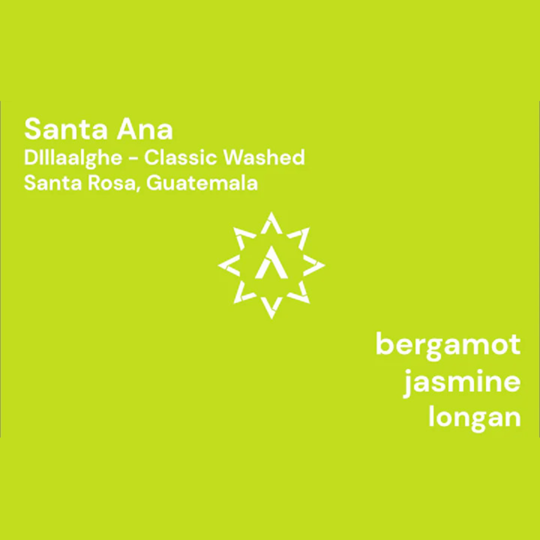 coolbeans Coffee - APOLLON'S GOLD -Santa Ana | Guatemala - Washed ...