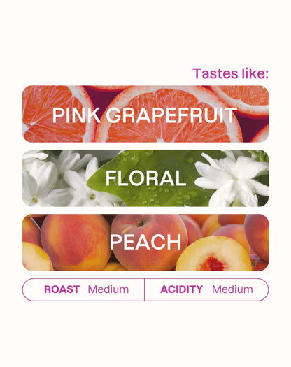 coolbeans Coffee - MONOGRAM - Omar Tinoco Filter | Colombia - Lactic ...