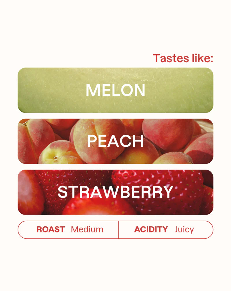 coolbeans Coffee - MONOGRAM - Alo Filter | Ethiopia - Mosto Anaerobic ...